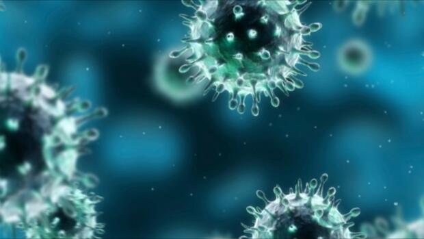 Un catálogo con todos los virus del mundo